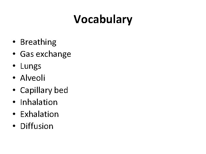 The Respiratory System 9 Biology Vocabulary Breathing Gas