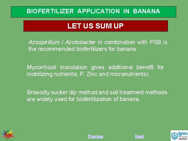 BIOFERTILIZER APPLICATION IN BANANA INTRODUCTION The recommended ...