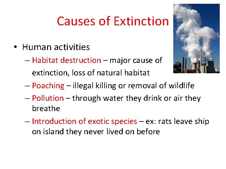 The History of Life on Earth Chapter 8