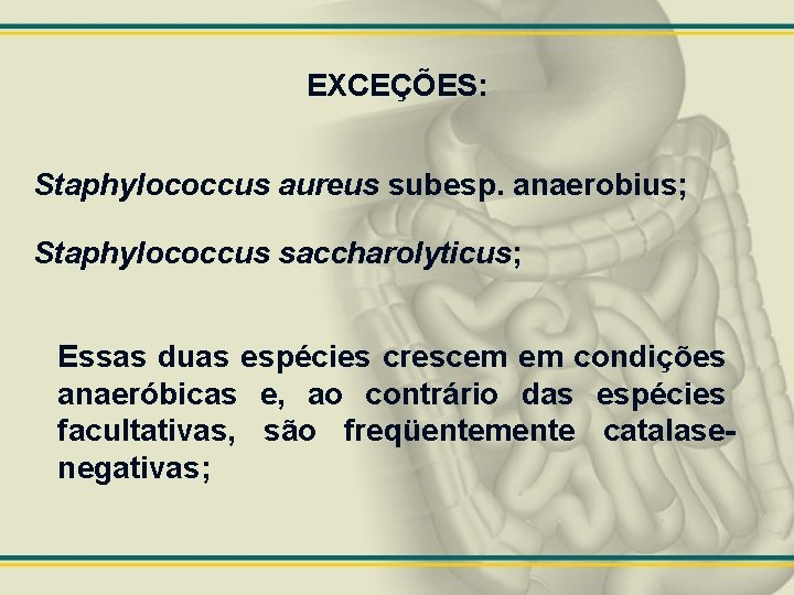 MICROBIOLOGIA AULA 4 Estafilococos e cocos G relacionados