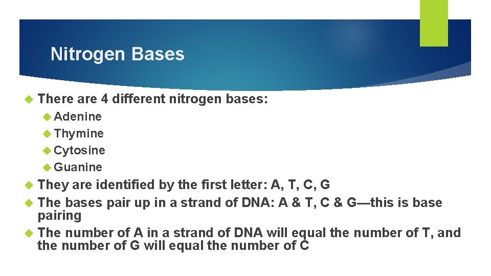 Unit 3 Genetics Part 1 Genetic Information BOOK