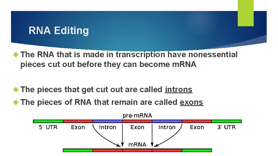 Unit 3 Genetics Part 1 Genetic Information BOOK