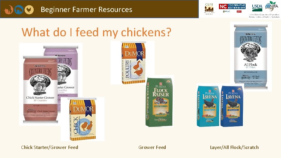 Beginner Farmer Resources Pastured Poultry Production Feed Nutrition