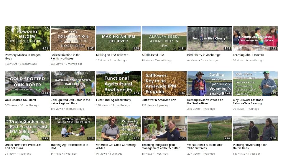 HOW THE REGIONAL IPM CENTERS CAN SUPPORT HORTICULTURAL