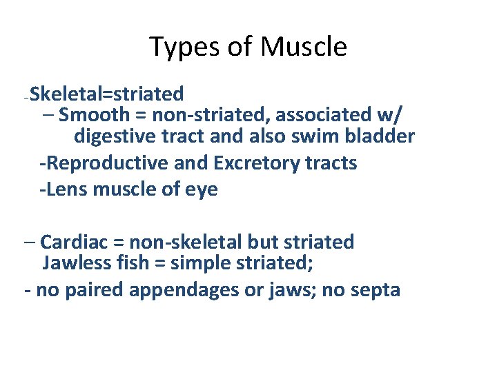 OTOT IKAN Muscles FISH MUSCULAR SYSTEM Otot membantu