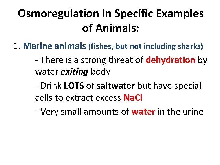 Chapter 44 Osmoregulation and Excretion OSMOREGULATION The regulation