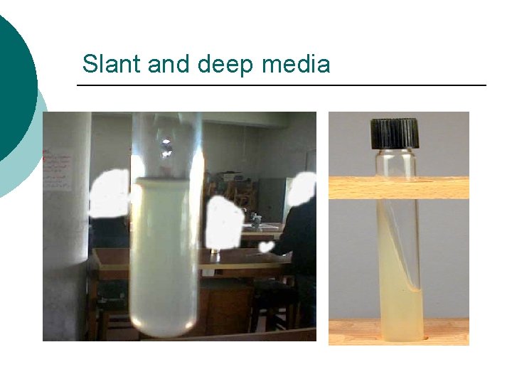 Culture media The Requirements for Bacterial Growth Physical