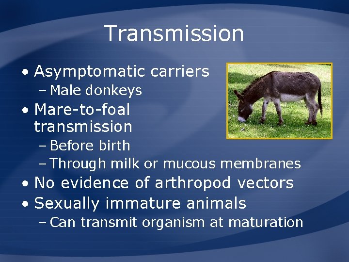 Dourine Overview Organism History Epidemiology Transmission Disease in