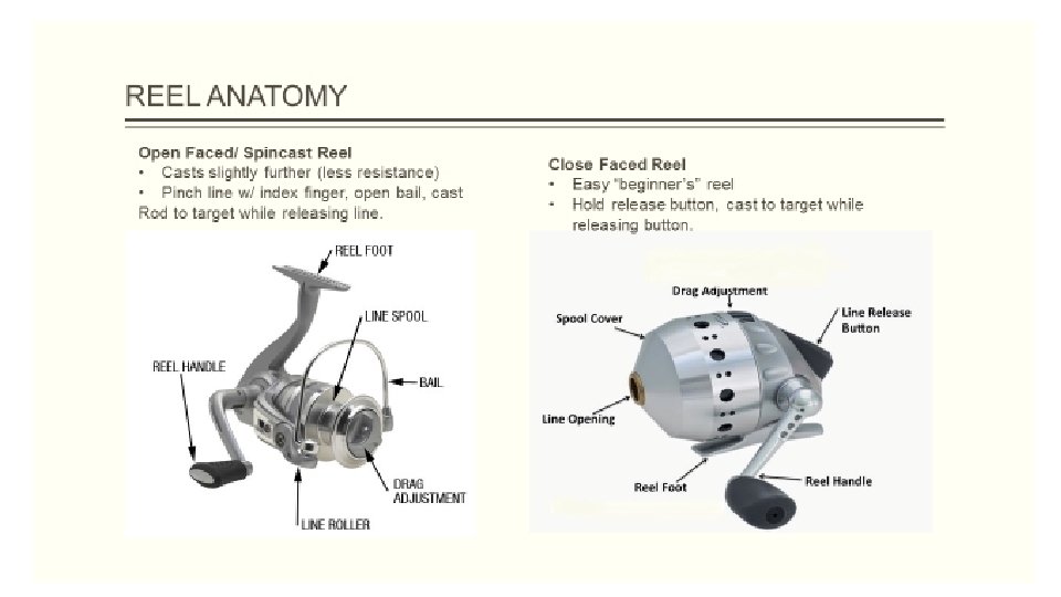 Hillgrove High School Fishing RodReel Anatomy Types of
