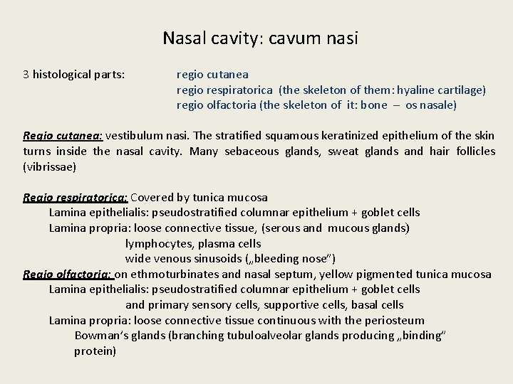 Respiratory organs Organa respiratoria Respiration gas exchange between