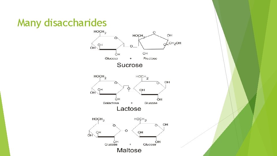 IB Chemistry Optional Topic Biochemistry p 449 503