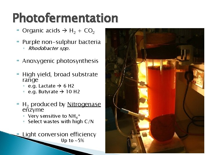 Biohydrogen production Unit of Functional Bionanomaterials School of