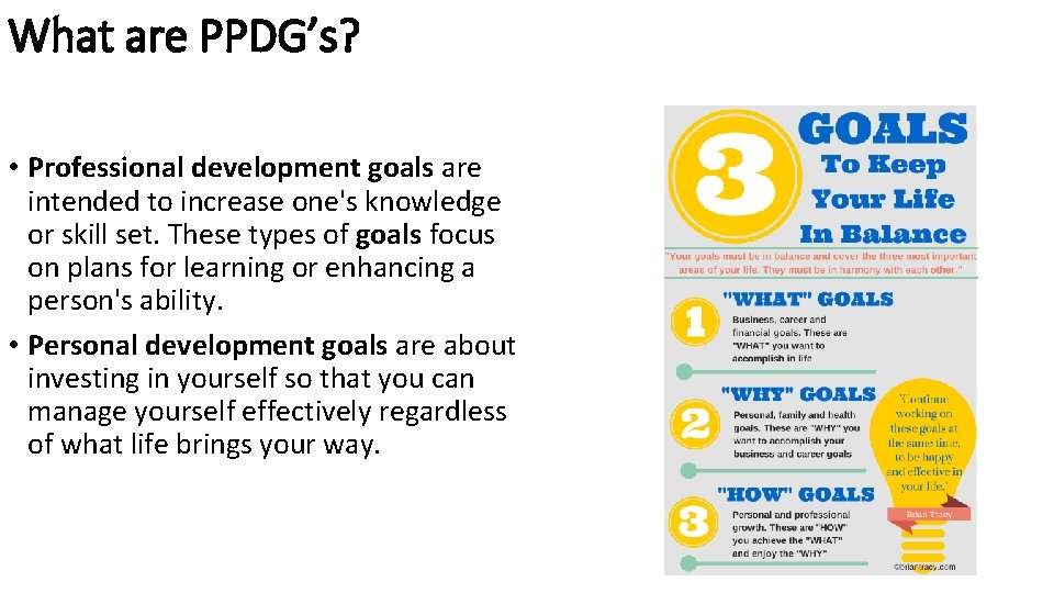 Personal Professional Development Goals PPDG What are PPDGs