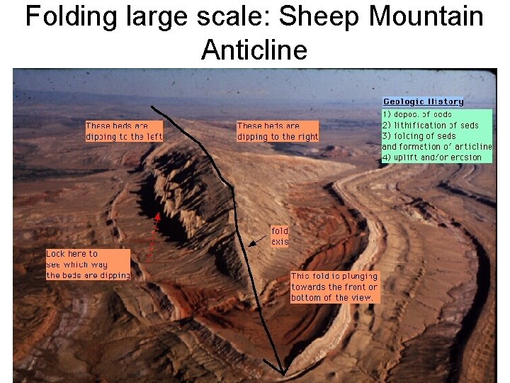Geodynamics and some Structural Geology Rob Bialas Geodynamics