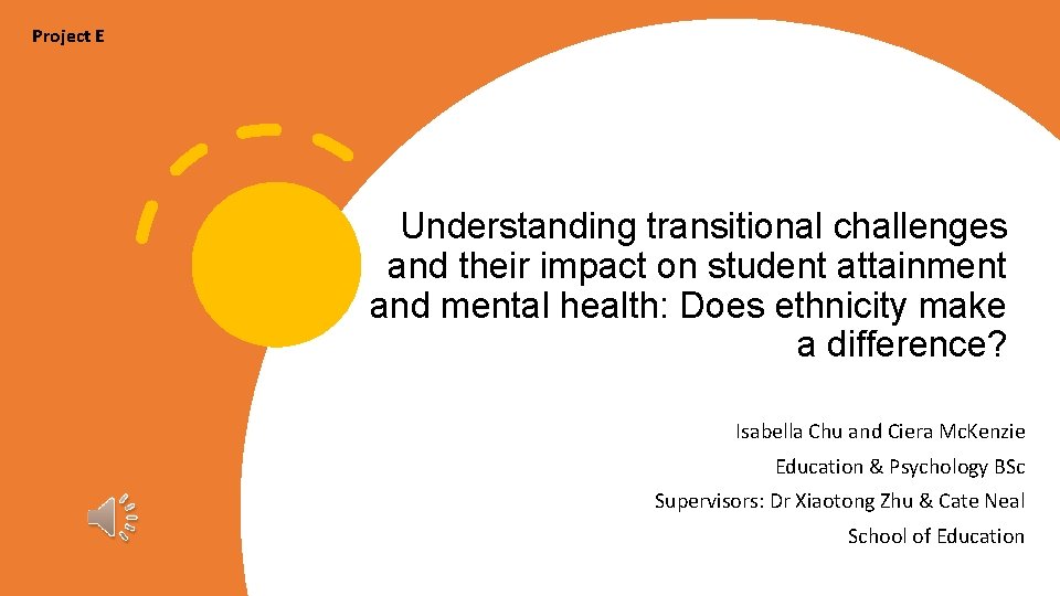 Project E Understanding transitional challenges and their impact