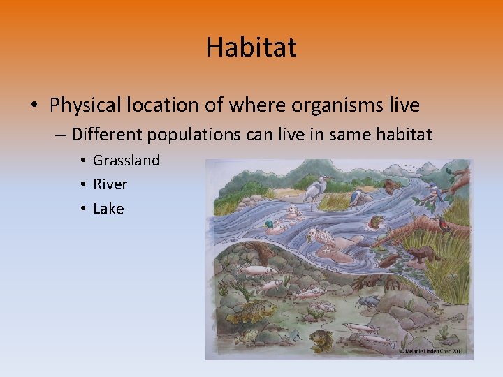 Interactions of Living Things Ecology 3 Species Smallest