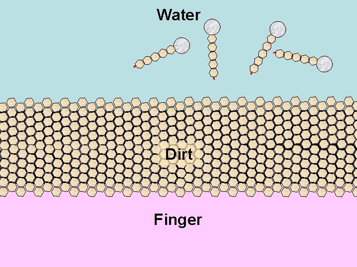 Welcome to Molecular Biology Through Discovery Thursday 30