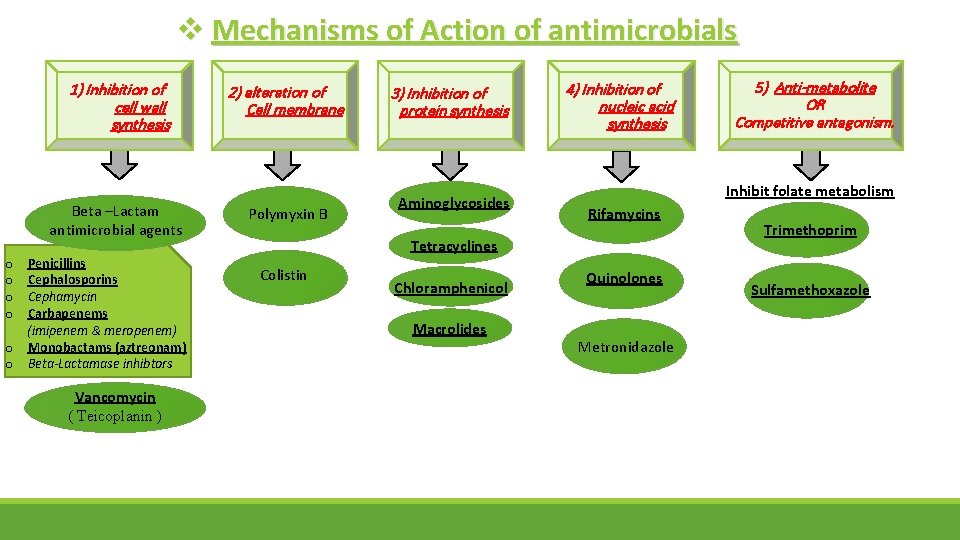 microbiology IMPORTANT EXTRA INFORMATION DOCTORS NOTE LECTURE ANTIBIOTIC