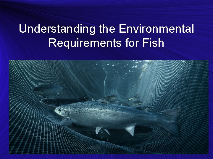 Understanding the Environmental Requirements for Fish Next Generation