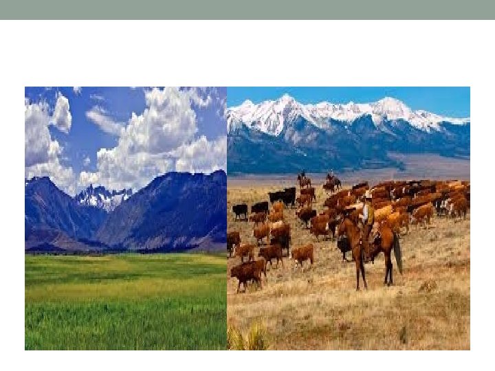 ECONOMIC ACTIVITIES How does geography affect economy Do