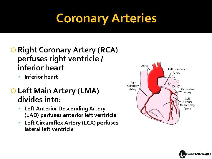 Almost Everything You Wanted To Know About ECGs