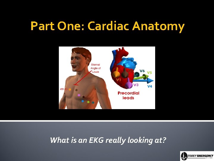 Almost Everything You Wanted To Know About ECGs