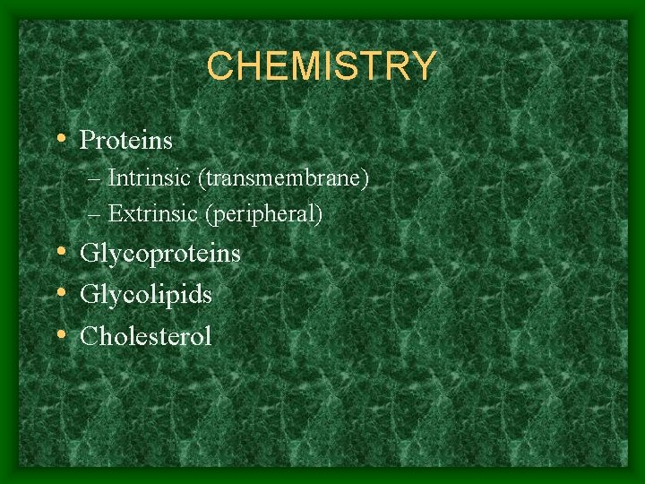 THE CELL Cell Diagram Cell Membrane 7 5