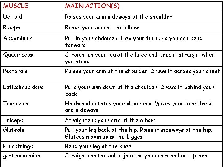 THE MUSCULAR SYSTEM AIM To understand the structure