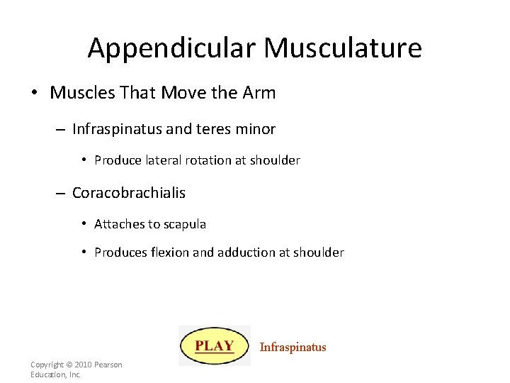 Axial Musculature INSERT FIG 11 12 b Figure