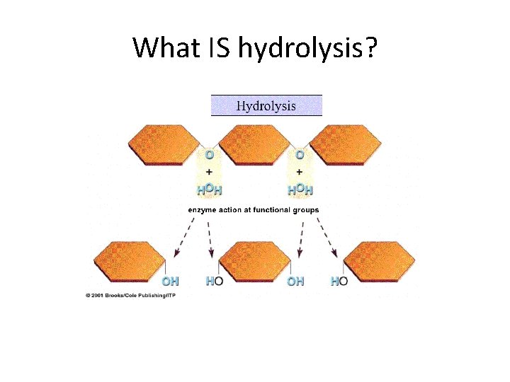 Review of 2 2 3 Biochemistry What IS