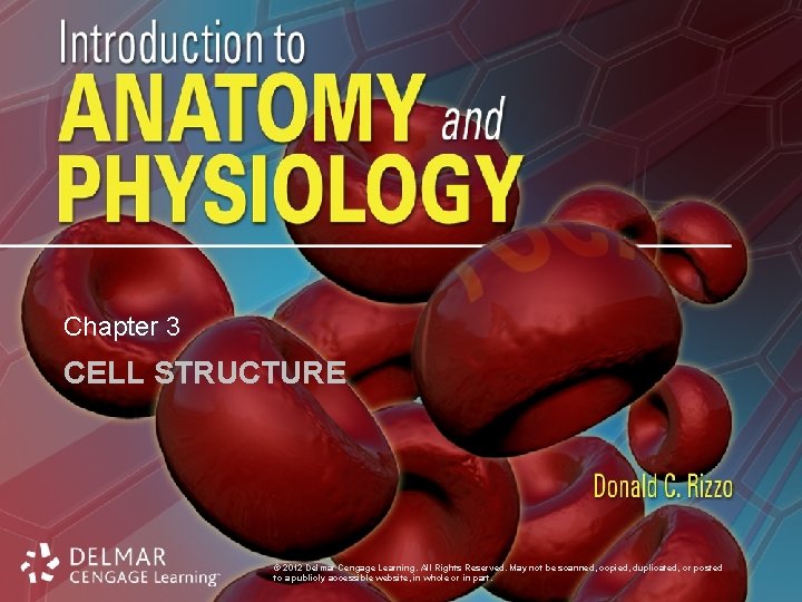 Chapter 3 CELL STRUCTURE 2012 Delmar Cengage Learning