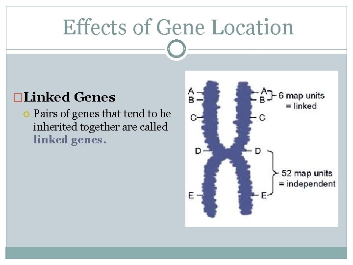 Effects of Gene Location Linked Genes Pairs of