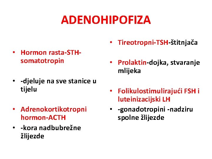 SUSTAV LIJEZDA S UNUTARNJIM IZLUIVANJEM ENDOKRINI SUSTAV I