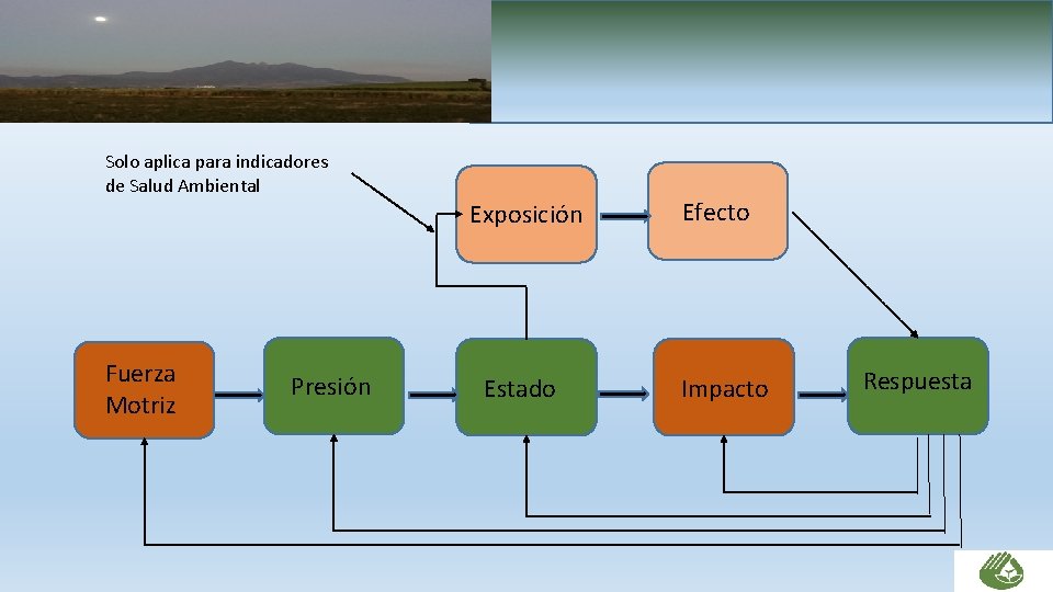 INDICADORES DE SUSTENTABILIDAD EN LAS ORGANIZACIONES MODELO FUERZAS