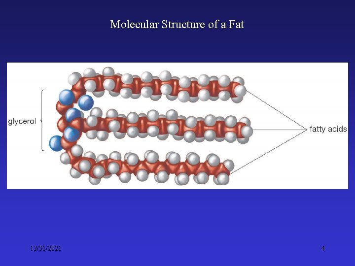 Water p H and Biological Molecules Part 2