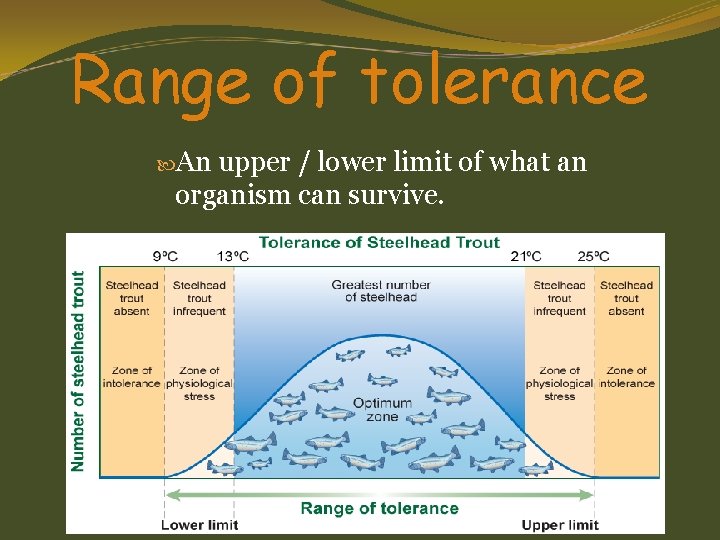 Ecological Succession Remember a community more than 1