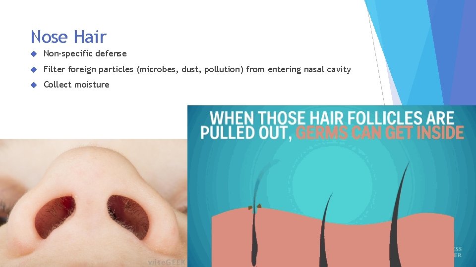 Immune System Ji Min Lee NonSpecific Defense 1