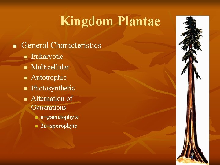 Kingdom Plantae Chapter 22 Introduction to Plants n