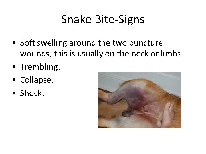 Basic First Aid Objectives To be able to