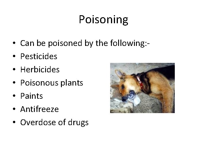 Basic First Aid Objectives To be able to