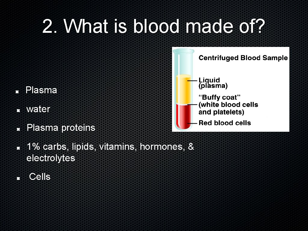 Blood 1 What are the main functions of