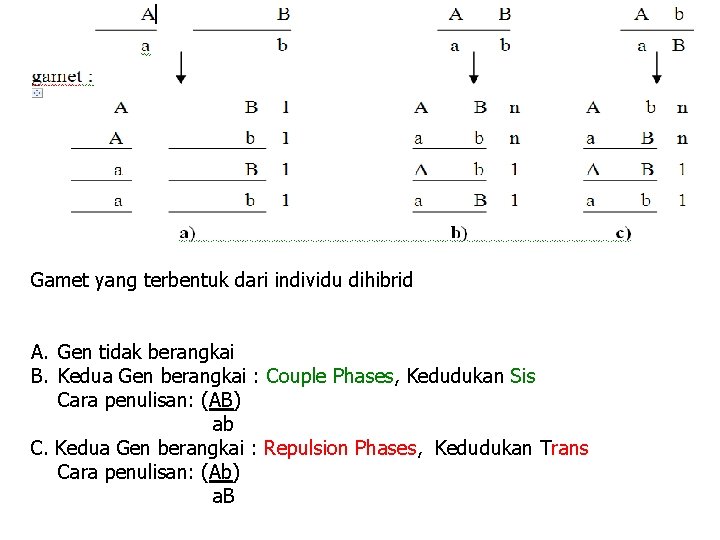 MATERI 7 DAN 8 SEX LINKAGE DAN CROSSING