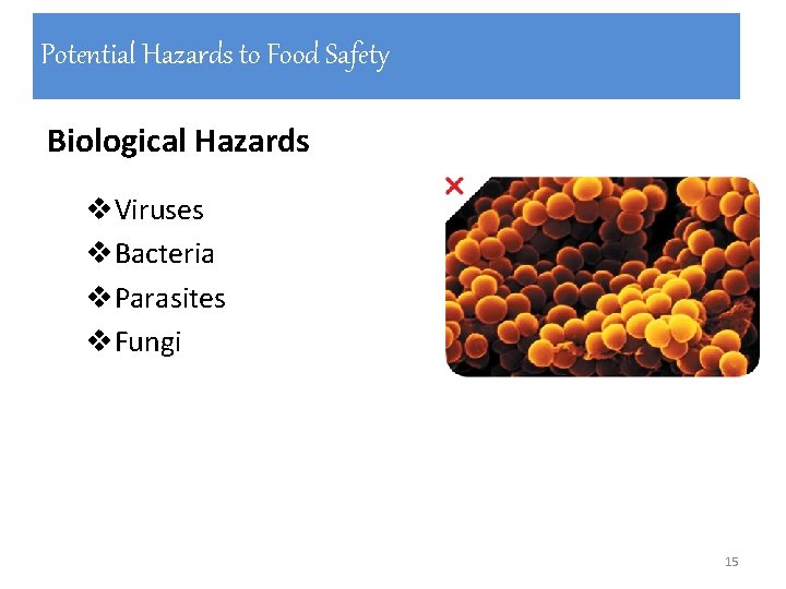 CHAPTER 1 PROVIDING SAFE FOOD KEEPING FOOD SAFE