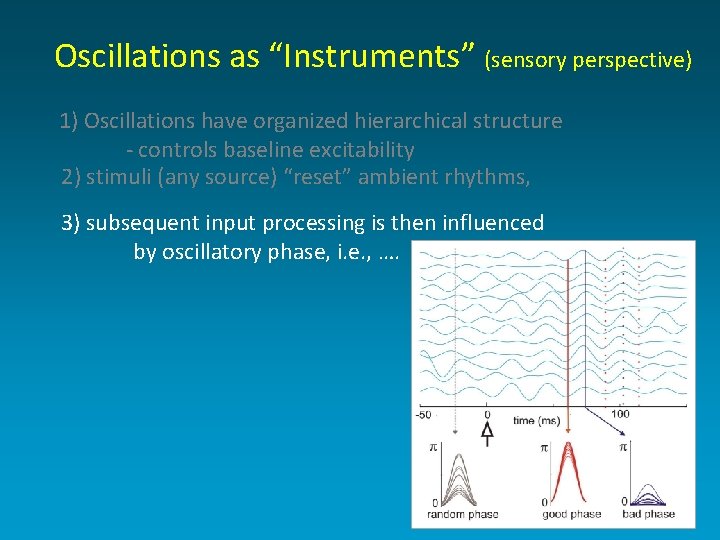 Perspective Neuronal Oscillations In Brain Operation Cognitive Neuroscience