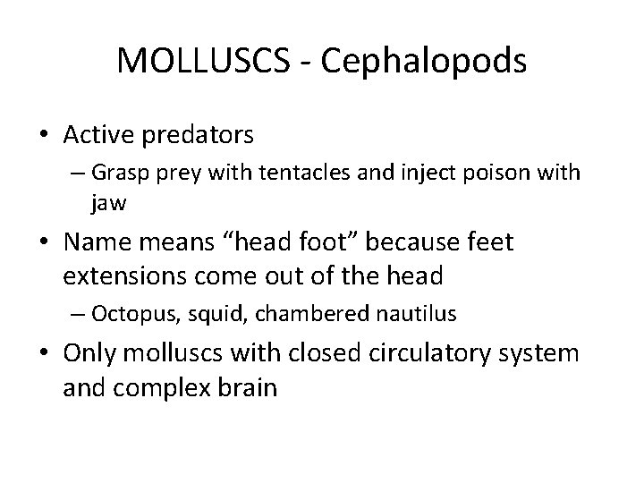 MOLLUSCS Bivalves Have shell divided into 2 halves