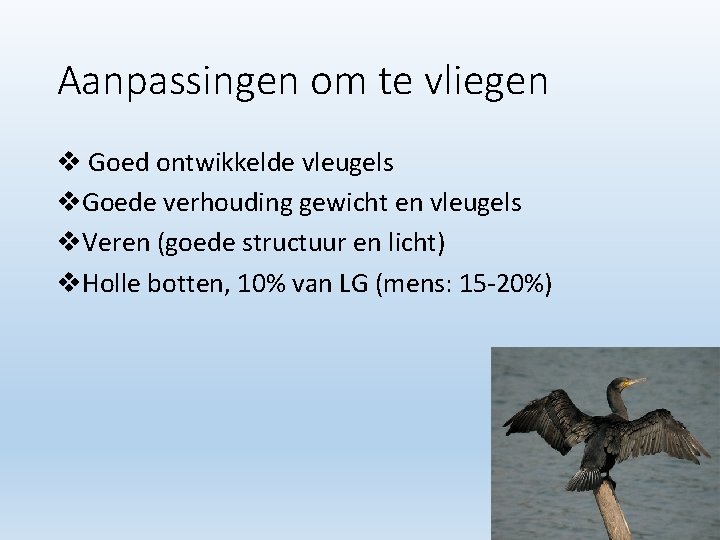 Anatomie Vogels Inleiding vogels v Vogels behoren tot