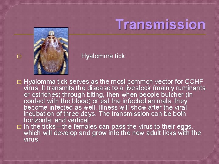 CrimeanCongo Hemorrhagic Fever Virus potentially useful as a