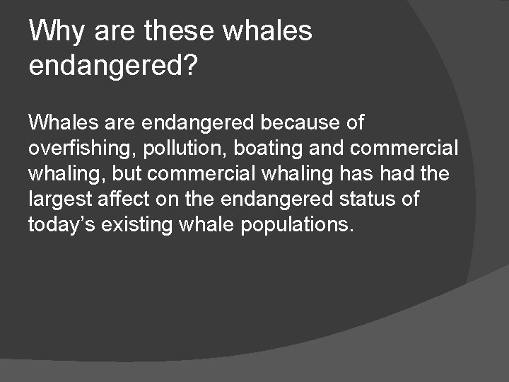 April B ENDANGERED WHALES OF THE PACIFIC OCEAN