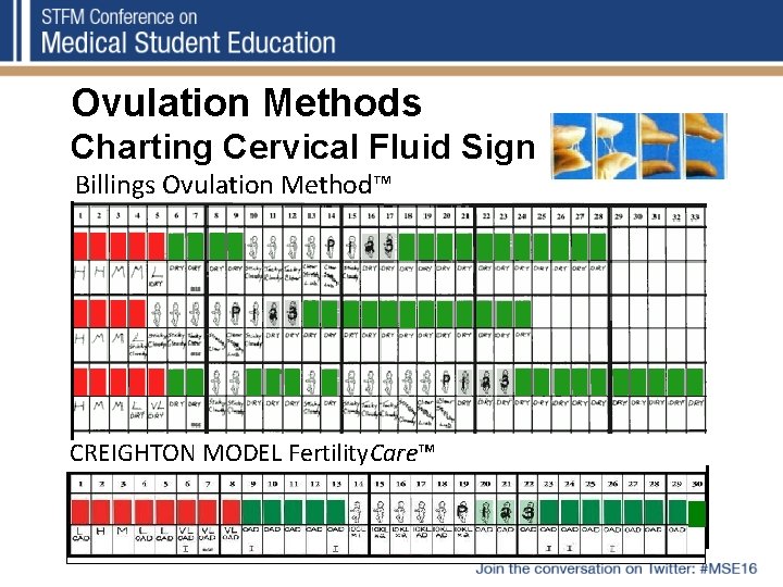 The Female Cycle The Fifth Vital Sign Marguerite