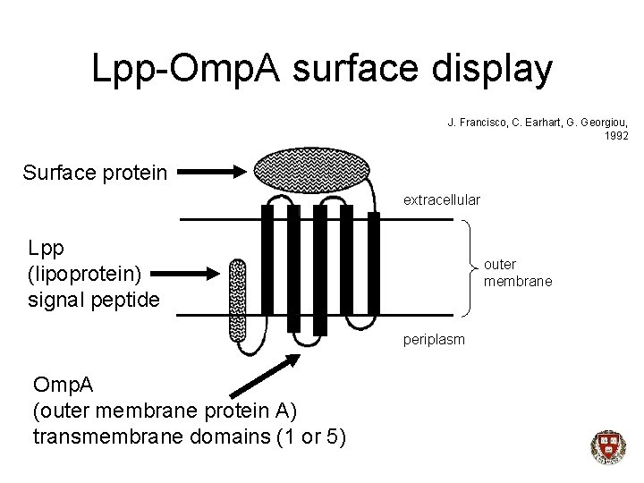 Thrombinbinding domain Thrombin Adaptamers Streptavidinbinding domain ...